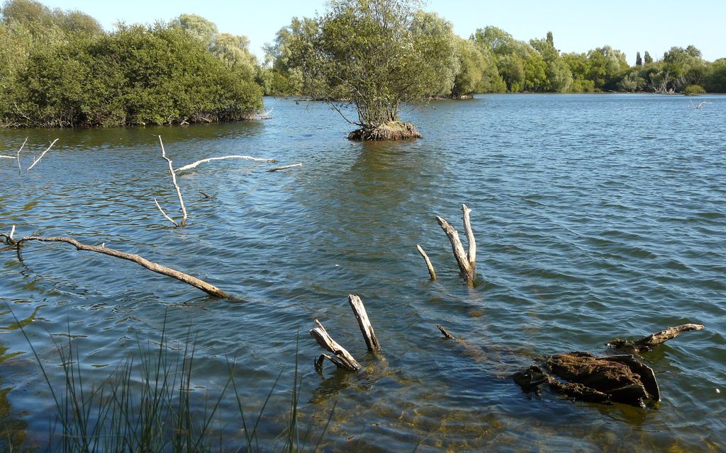 Leybourne Lakes Country Park, Kent | Sitons